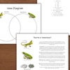 Forest School Prints Bundle: 13 Printable Classroom Posters for Nature ...