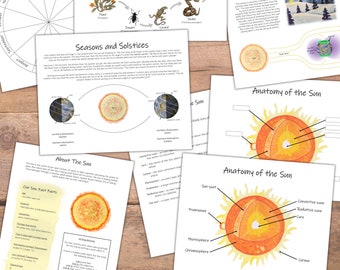 The Sun Mini Nature Study - Etsy