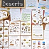 Rocks & Minerals Unit: Earth Science Lessons and Printables Geology ...