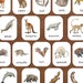 Mammals Flashcards: Watercolor Montessori Three-part Cards (PDF ...