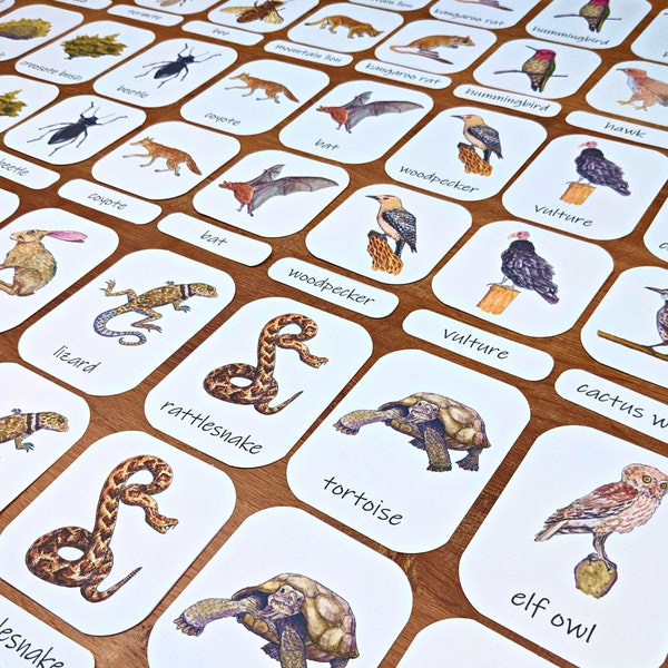 Desert Plants - Etsy