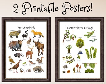 Fauna and Flora Poster - Etsy