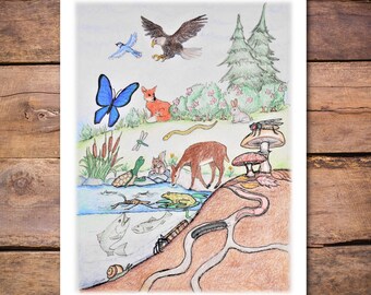 Food Web Poster - Etsy