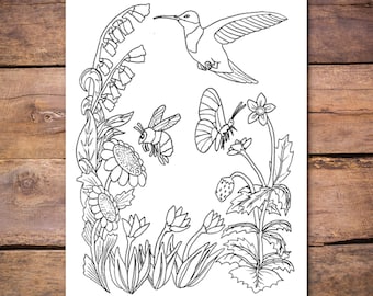 Pollination Coloring - Etsy