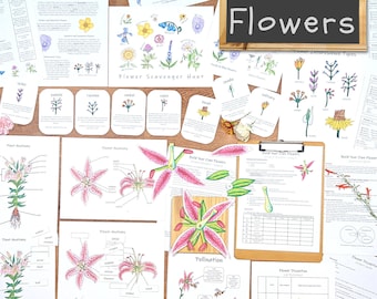 Flower Unit Study - Etsy