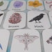 Nature Color Flashcards: Printable Three-part Cards Nature - Etsy
