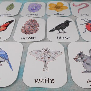 Nature Color Flashcards: Printable Three-part Cards Nature - Etsy