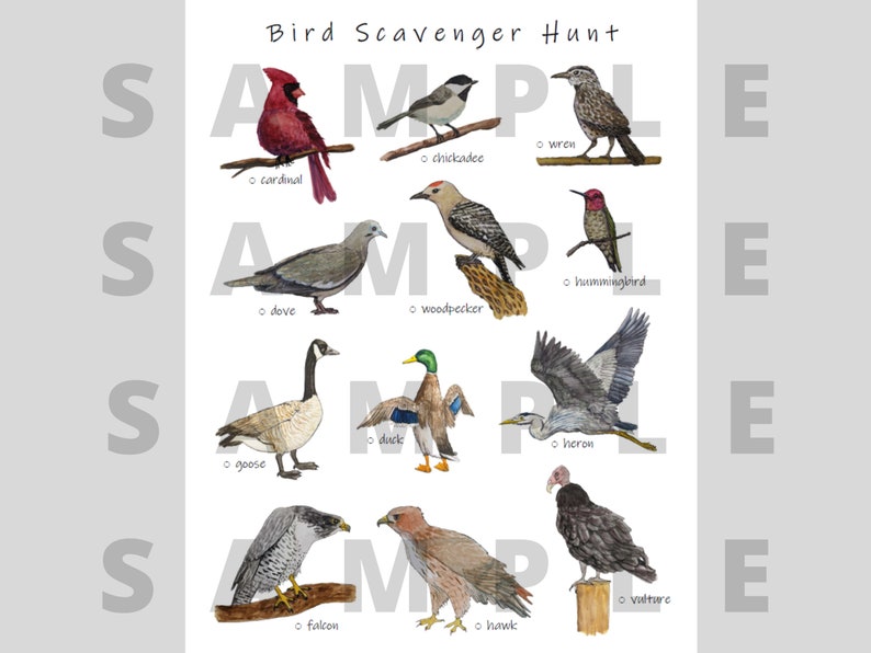 Bird Scavenger Hunt: Bird Watching for Kids, Afterschool Activity, Camp ...