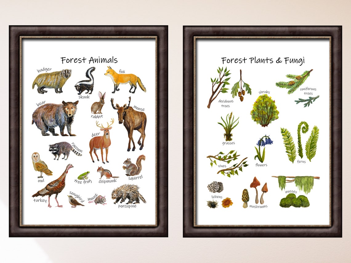 Forest School Prints Bundle: 13 Printable Classroom Posters - Etsy