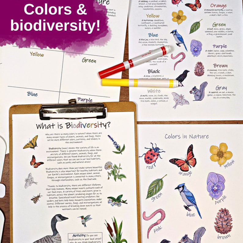 Colors in Nature Mini Study: Homeschool Activity (PDF Download) - Etsy