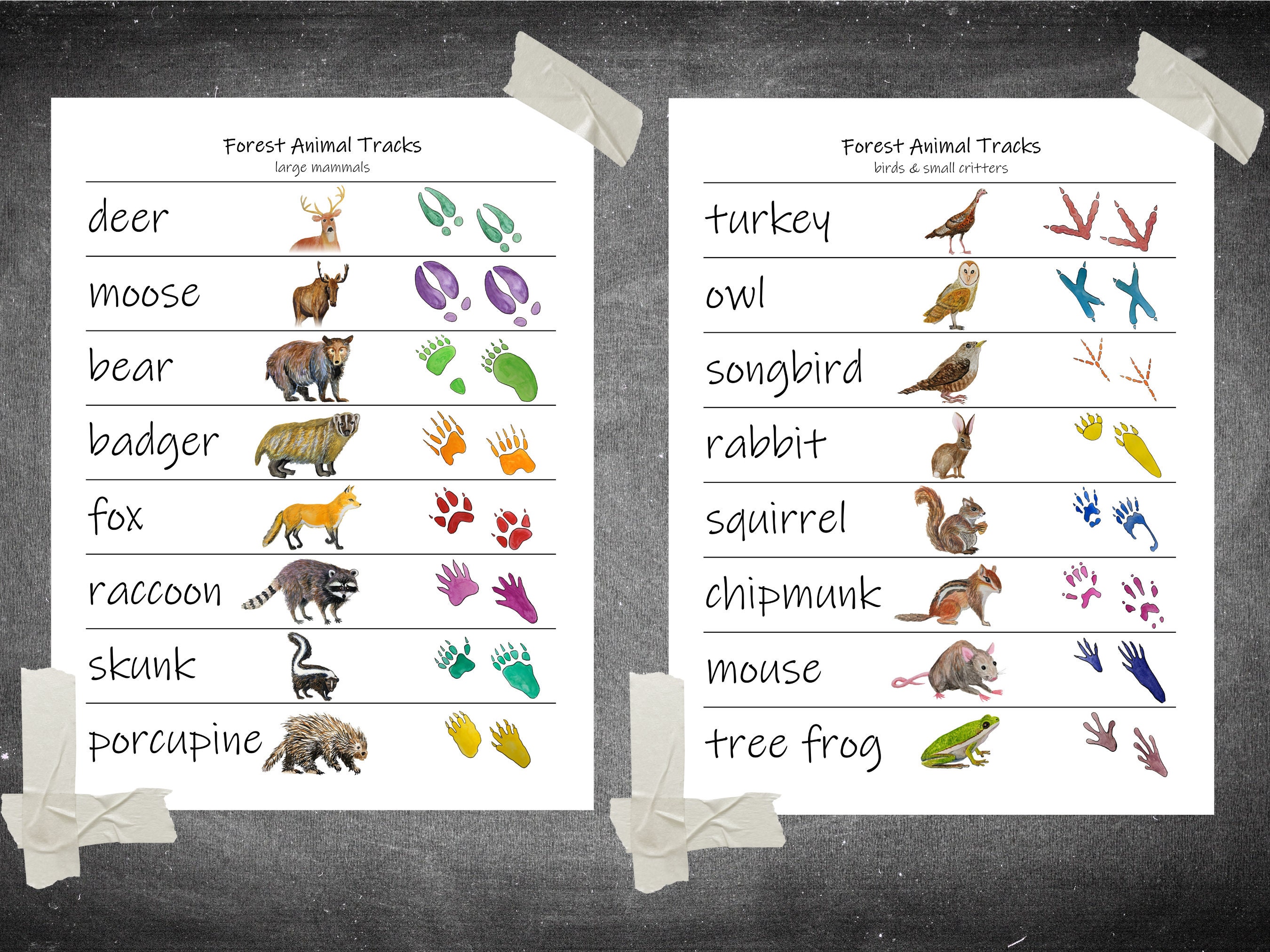 Forest Ecosystem: a Mini Nature Study Forest School, Nature Preschool ...