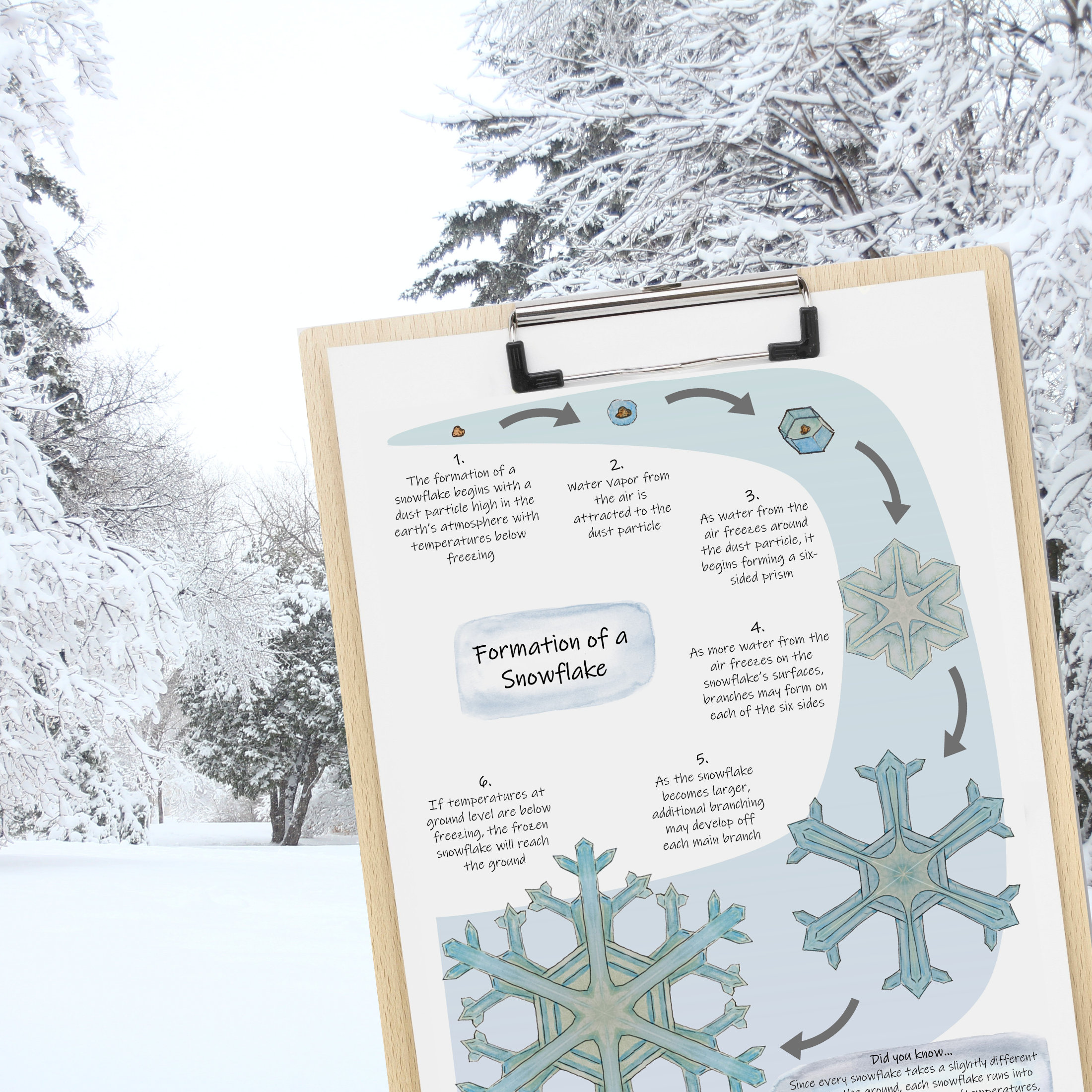 Snowflake Formation Poster: How Snowflakes Form, Science Poster ...