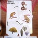 Desert Animals & Plants Mini Study: Wildlife of Deserts, Nature Study ...
