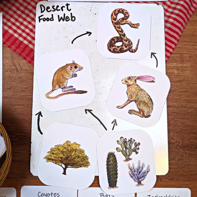 Desert Animals & Plants Mini Study: Wildlife of Deserts - Etsy