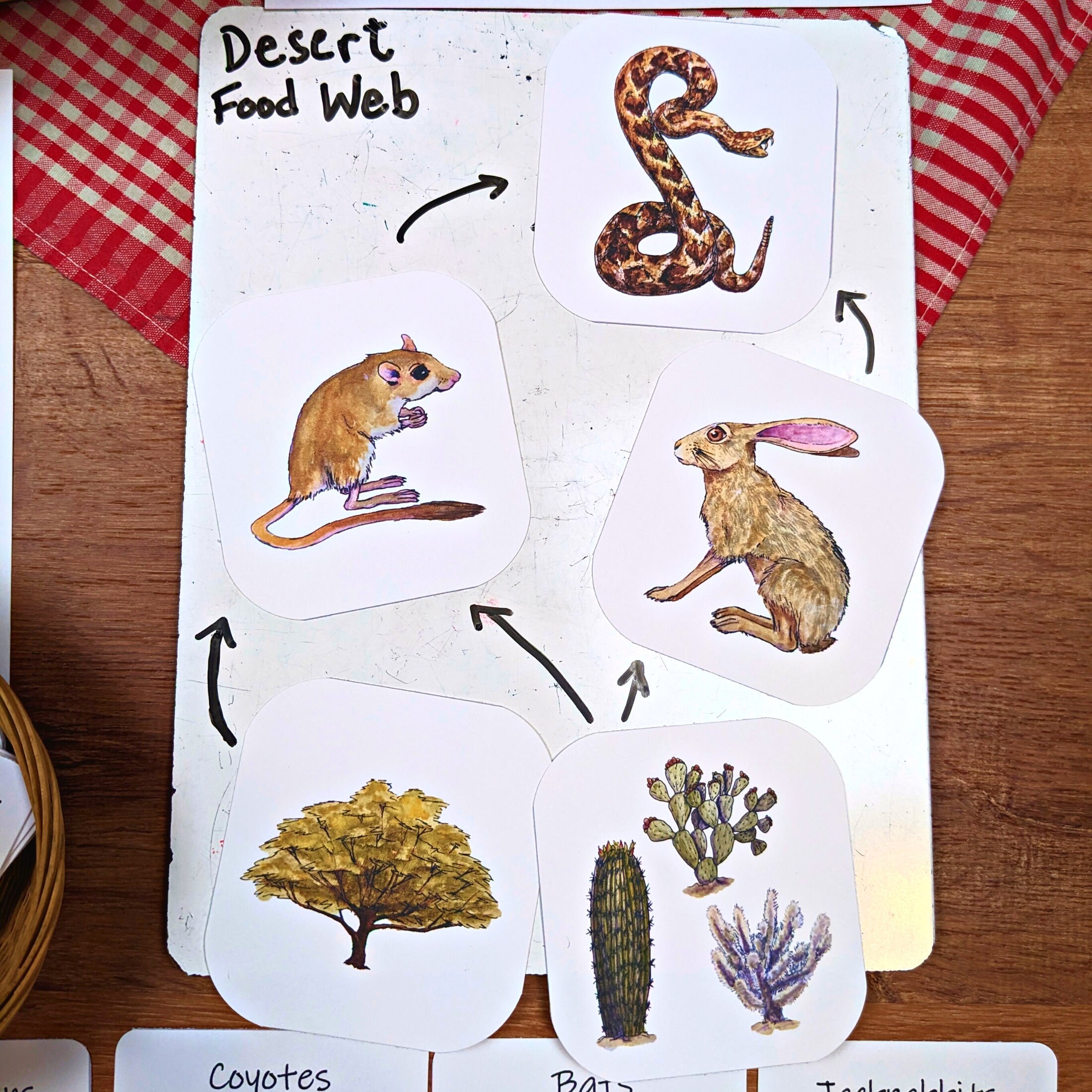 Desert Animals & Plants Mini Study: Wildlife of Deserts - Etsy