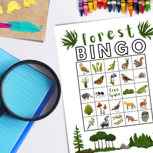 Forest Bingo: Printable Game for Camping, Forest School, Woodland ...