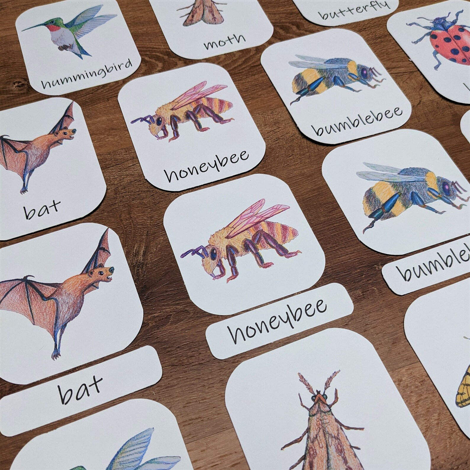 Pollinators: 7 Printable Three-part Cards, Preschool Activity, Forest ...