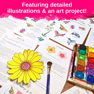 Pollination Unit: Activities, Lesson Plan, and Classroom Materials ...