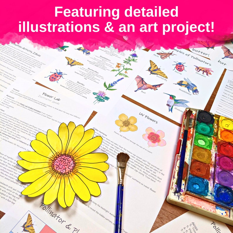Pollination Unit: Activities, Lesson Plan, and Classroom Materials ...