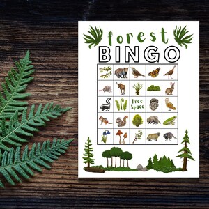Forest Bingo: Printable Game for Camping, Forest School, Woodland ...