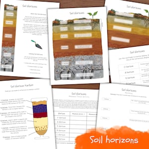 Soil Science Unit: Lab Activities, Soil Textures, Horizons (PDF ...