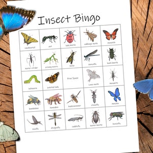 Insect Bingo Game: 20 Unique Cards, Bug-themed Party (PDF) - Etsy