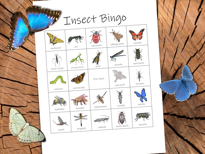 Juego de bingo de insectos: 20 tarjetas exclusivas con tarjetas de ...