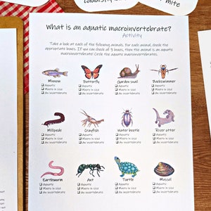 Macroinvertebrates Mini Study: Classroom Printables and Activities for ...