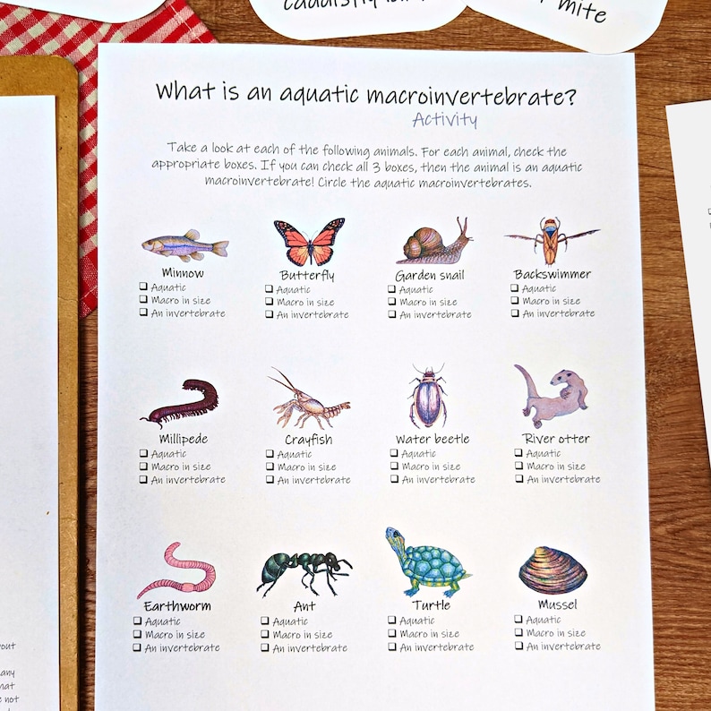 Aquatic Macroinvertebrates Mini Study: Classroom Printables (PDF ...
