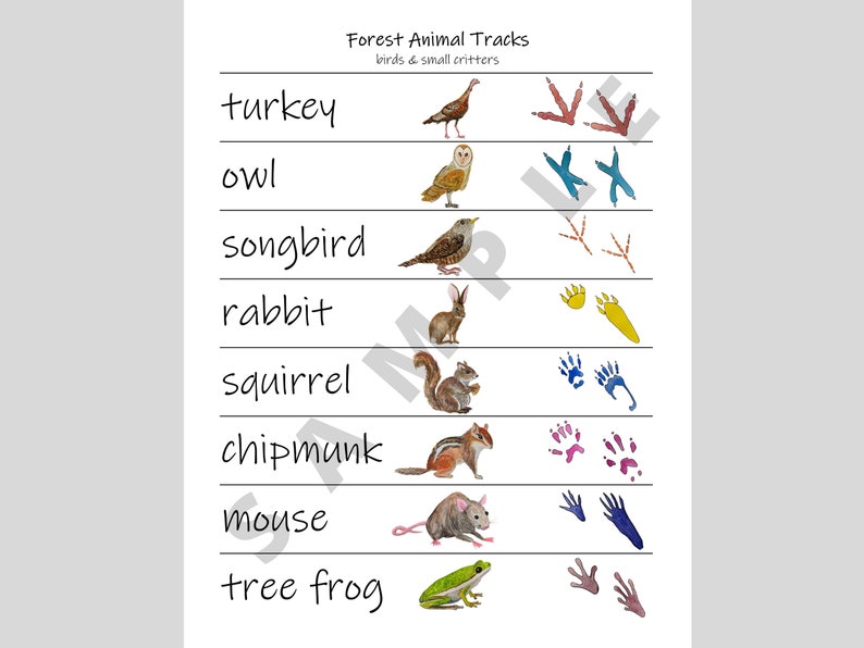 Animal Tracks Posters: Guide to Forest Animal Tracks Woodland - Etsy