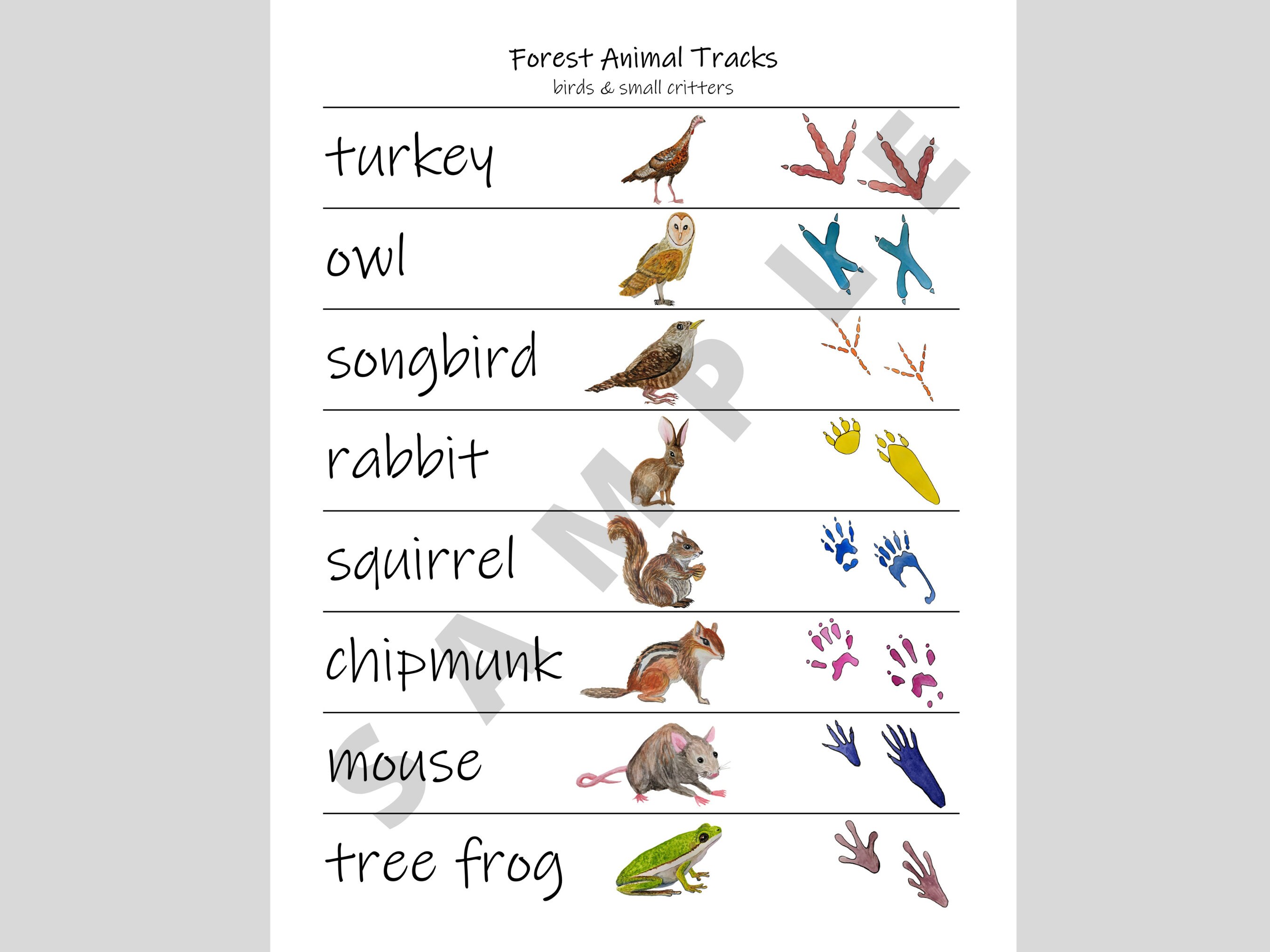 Animal Tracks Posters: Guide to Forest Animal Tracks Woodland - Etsy