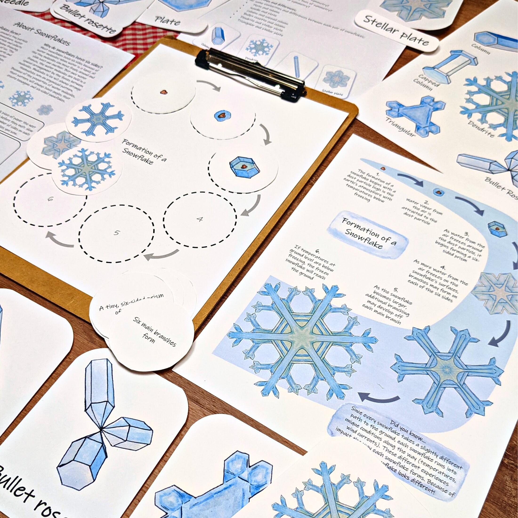 Snowflake Mini Unit Study: Formation & Types, Kids Activities (PDF) - Etsy