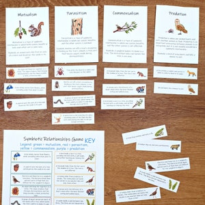 Symbiotic Relationships Mini Study: Ecology Homeschool Printables (PDF ...