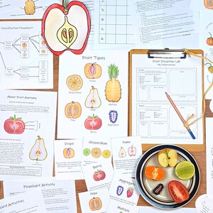 Botany Collection: Study Plants, Pollination, and More! Plant Unit ...