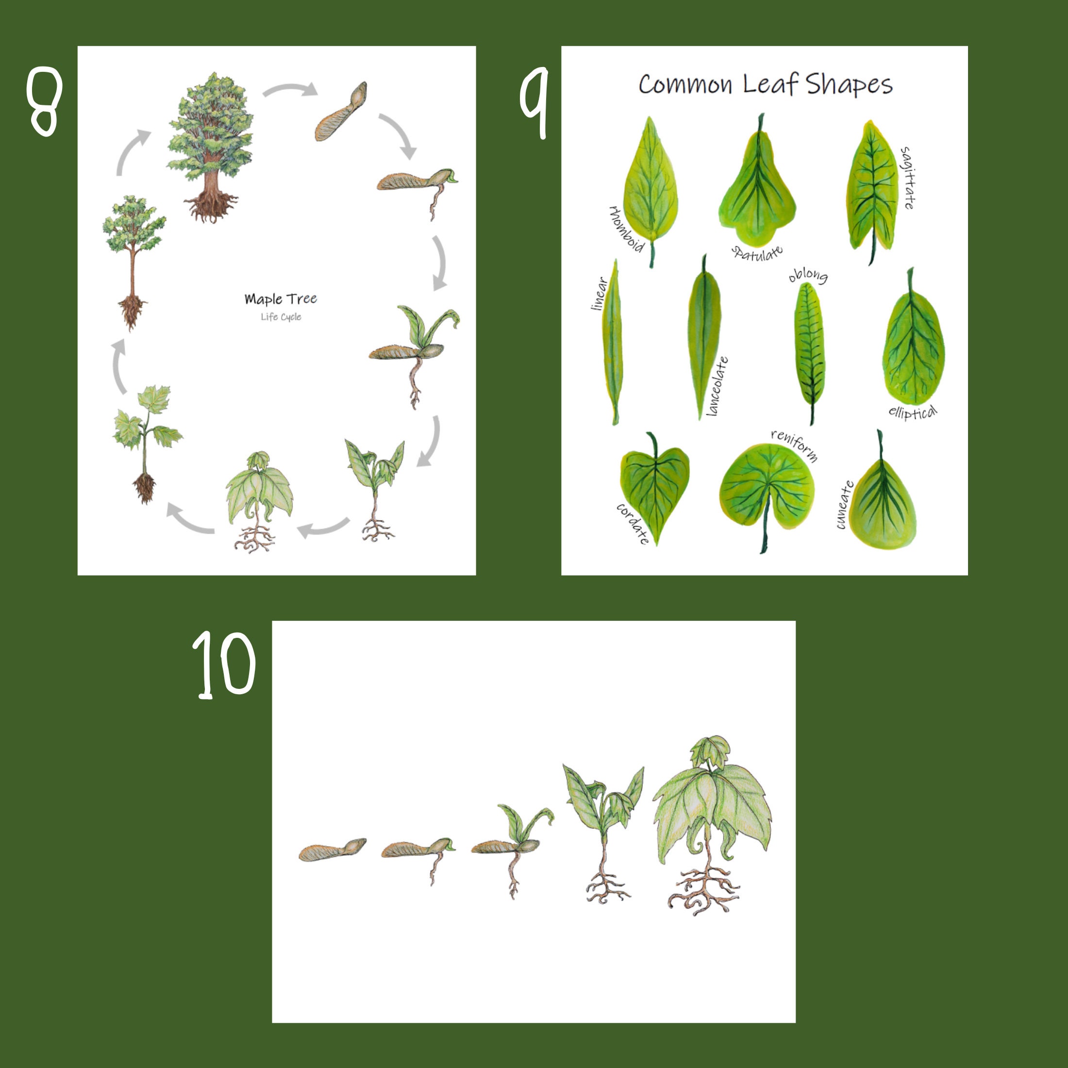 Forest School Prints Bundle: 13 Printable Classroom Posters - Etsy
