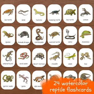Reptiles Unit: Biodiversity Homeschool Lessons (PDF Download) - Etsy