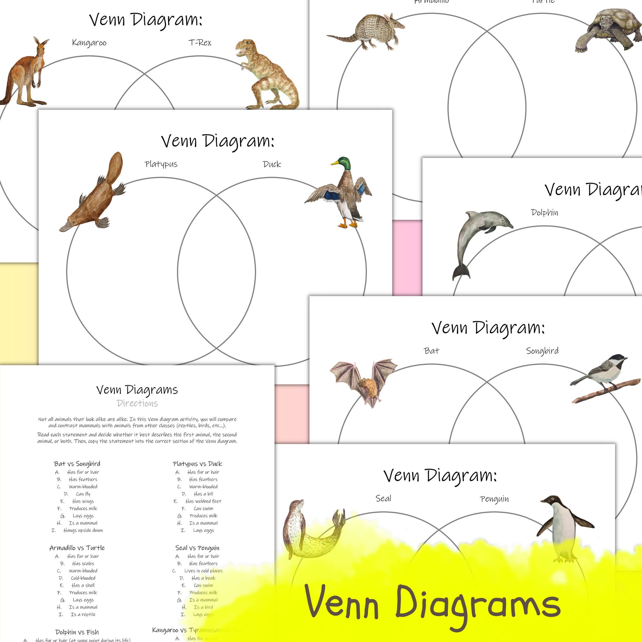 Mammal Unit: Homeschool Science, Kids Activities (PDF) - Etsy
