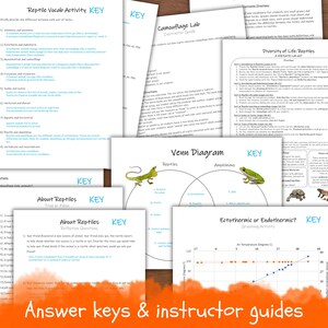 Reptiles Unit: Biodiversity Homeschool Lessons (PDF Download) - Etsy