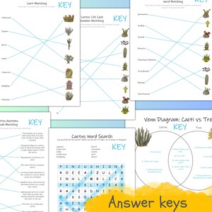 Cactus Unit: Nature Curriculum, Homeschool Science, Nature Study ...
