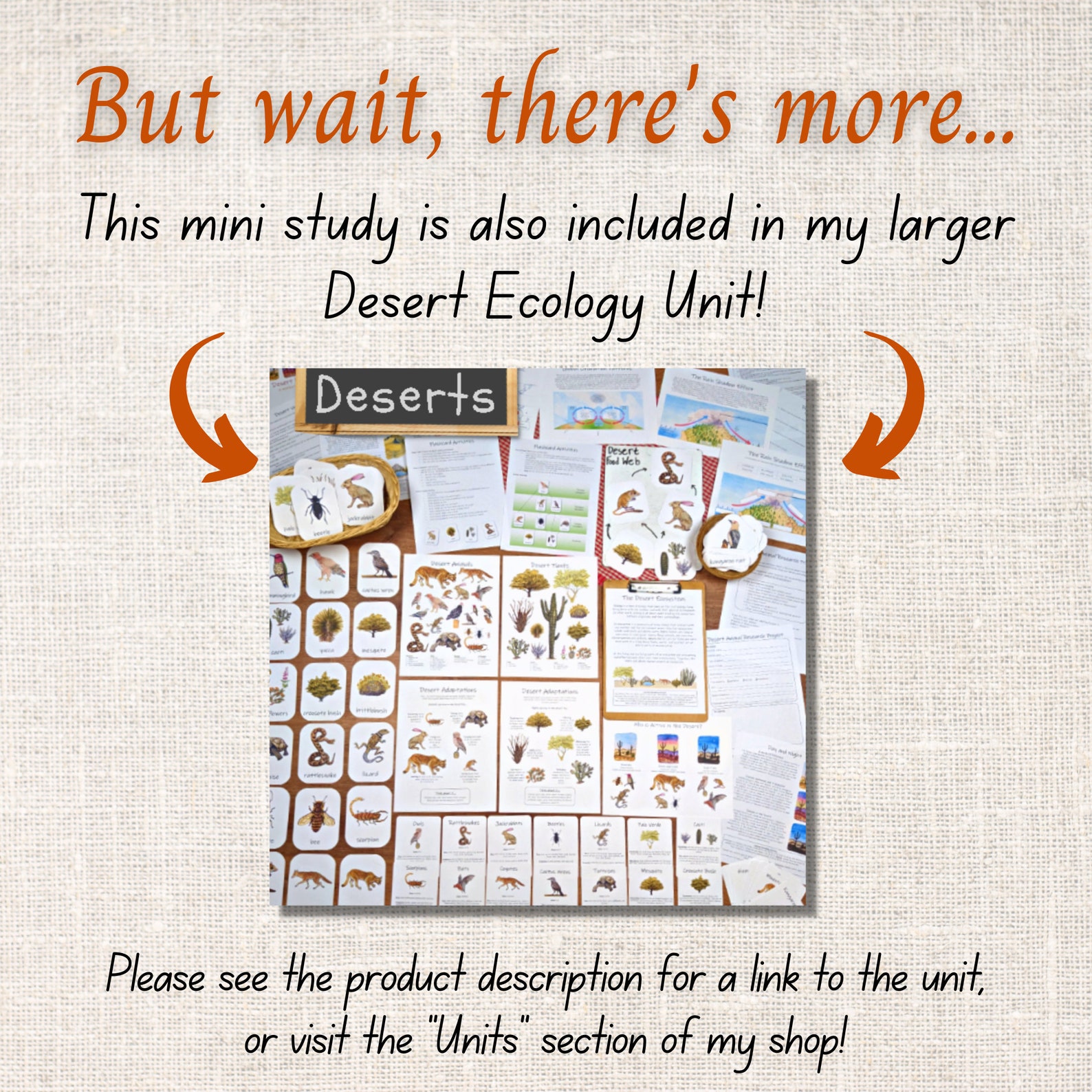Desert Animals & Plants Mini Study: Handouts, Flashcards, Food Web ...