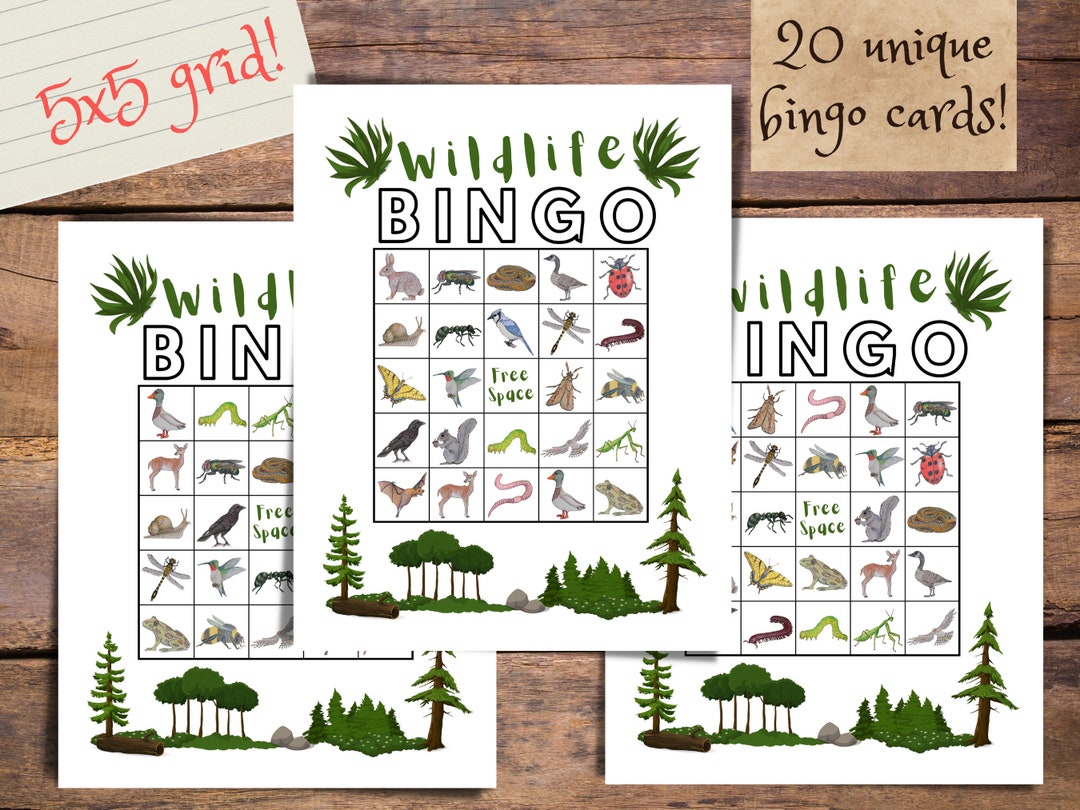 Wildlife Bingo: Printable Game for Kids, Family Road Trips, Class ...