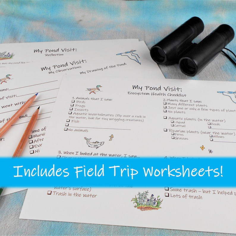 Pond Ecosystem Mini Study: Science Activities, Worksheets for Classroom ...