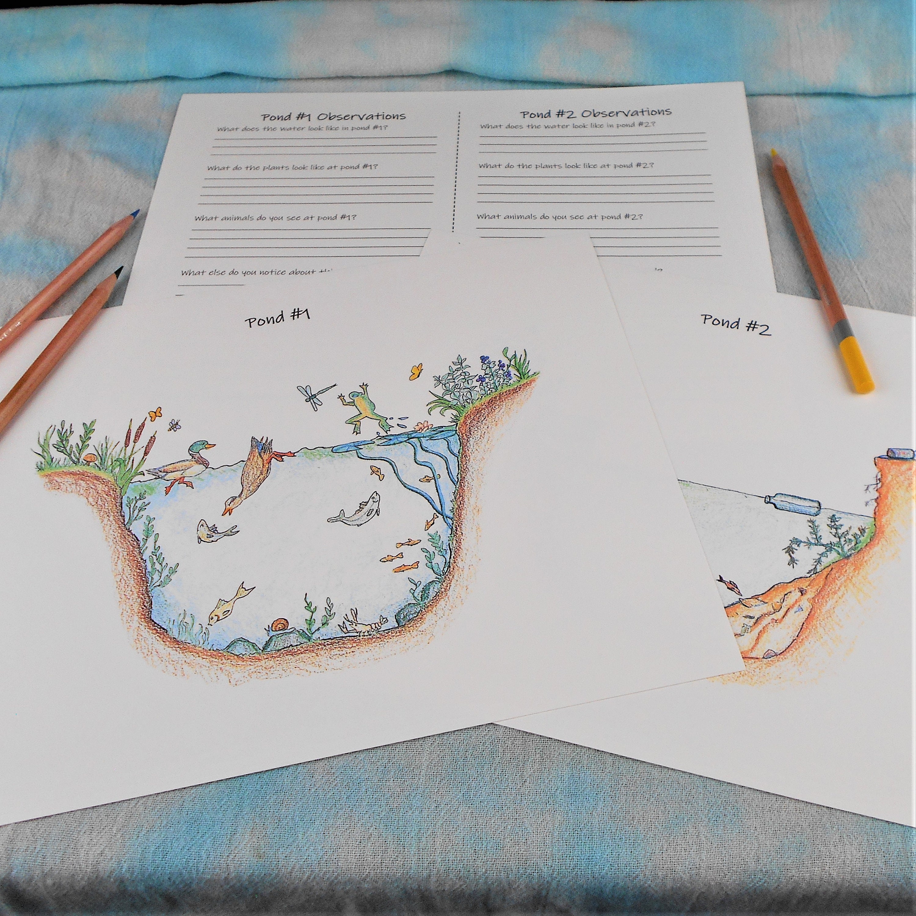 Pond Ecosystem Mini Study: Science Activities and Worksheets | Etsy Canada