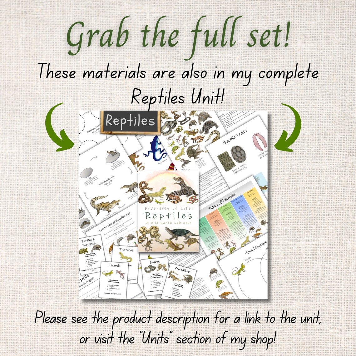 Reptile Three-part Cards: Nomenclature Flashcards, Homeschool Preschool ...