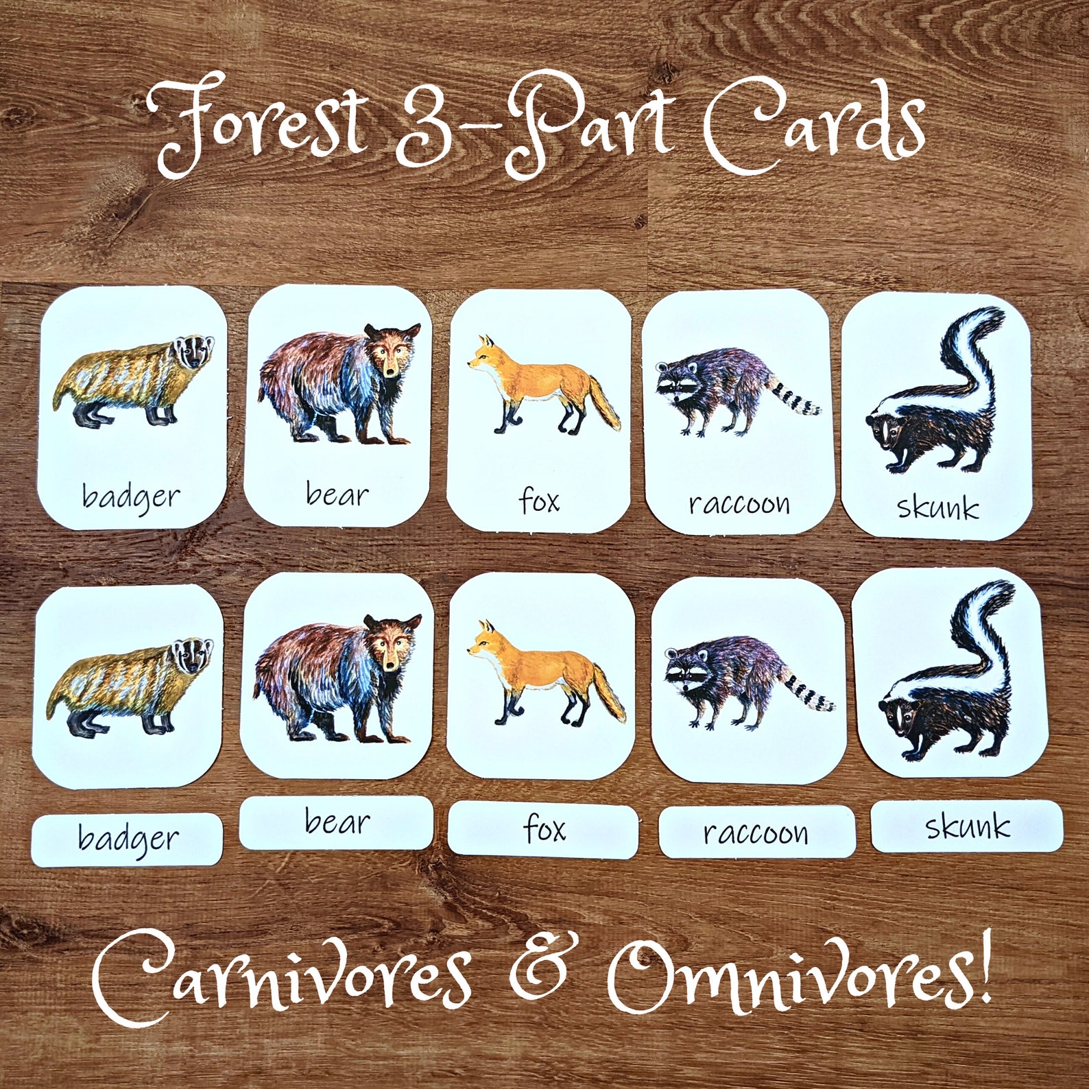 30 Forest Flashcards: Three-part Cards With Forest Animals, Plants, and ...