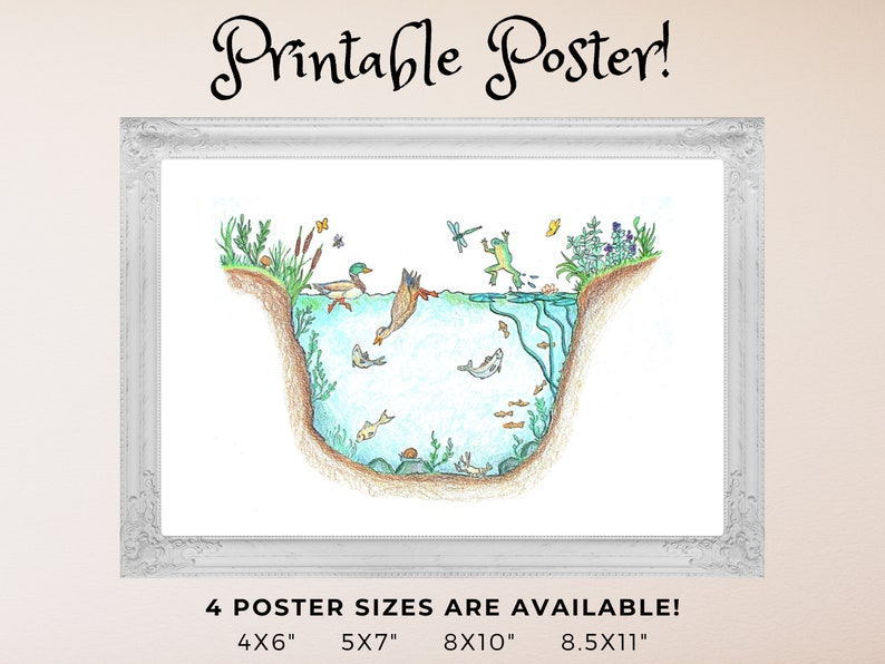 Pond Ecosystem: Classroom Poster, Preschool Decor, Homeschool Printable ...