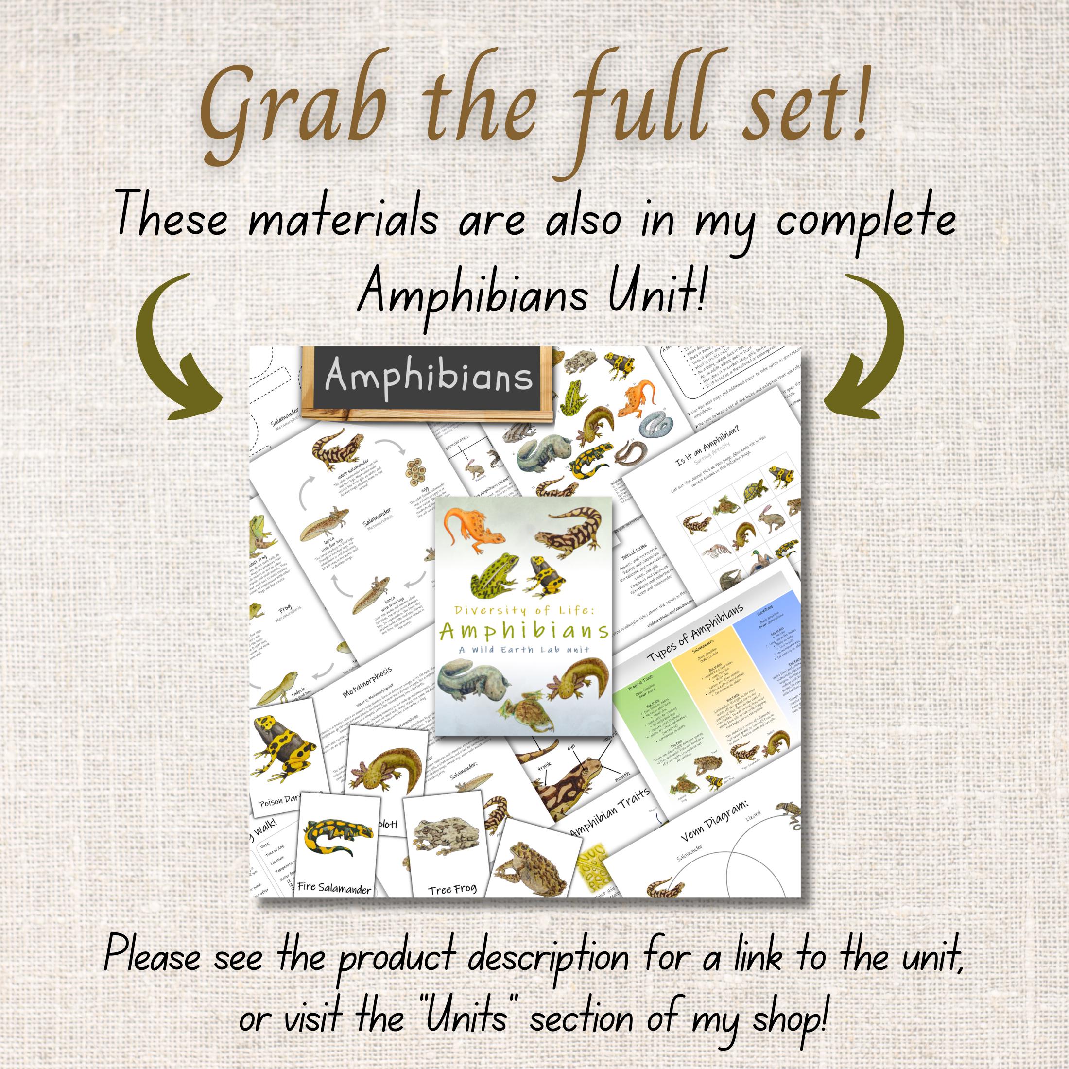 Amphibian Flashcards: Watercolor Montessori Cards (PDF Download) - Etsy