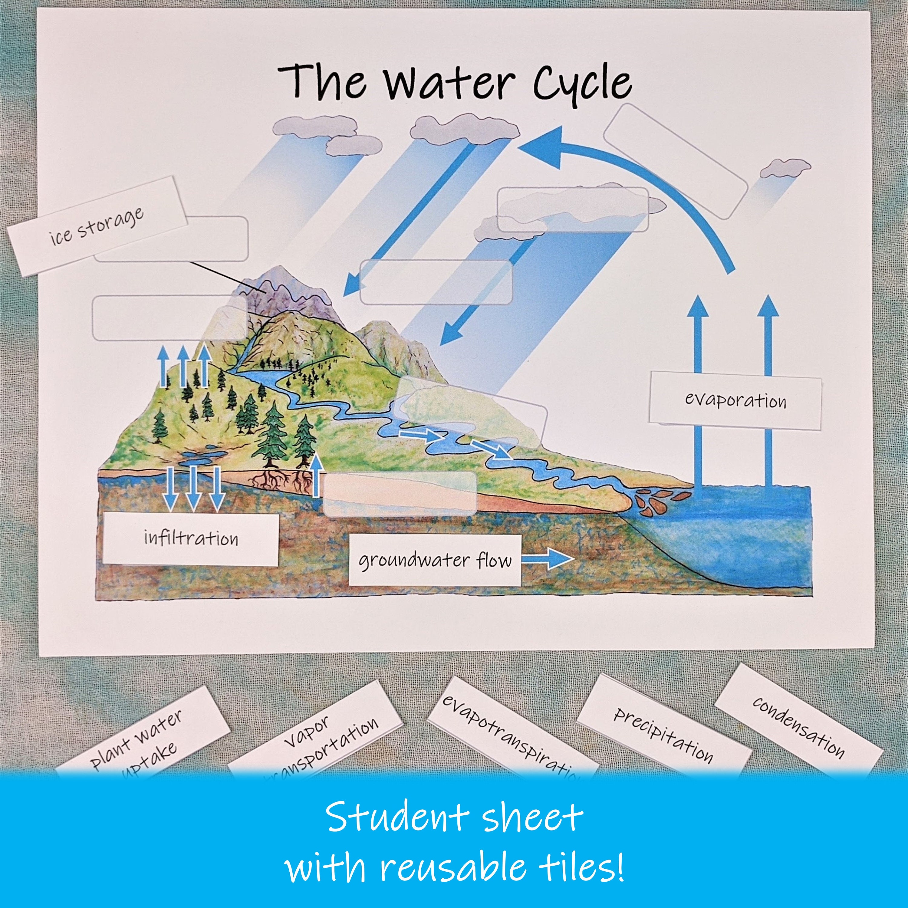 Water Cycle Unit: Earth Science Study With At-home Science Lab ...