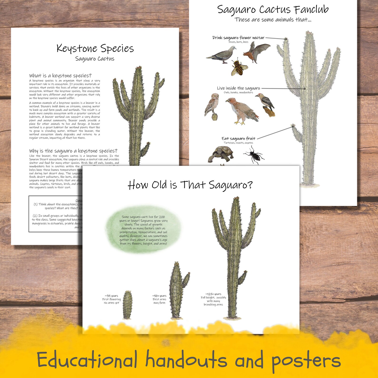 Saguaro Cactus: Classroom Set With Posters, Readings, & Activities ...