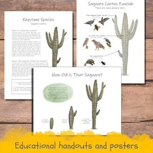 Saguaro Cactus: Classroom Set With Posters, Readings, & Activities ...